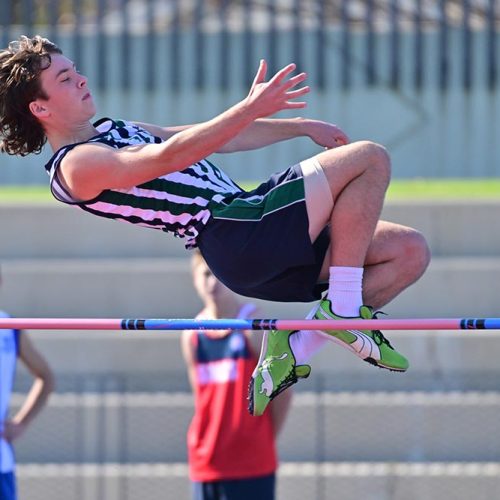 ACS Swimmers Make a Big Splash at VSAC Swimming Championships - ACS ...